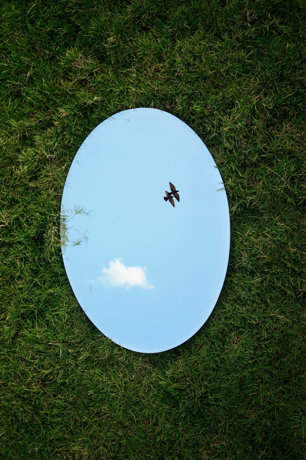 Do I Have A Realistic Self image NiceDay Online Coaching Therapie