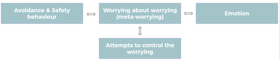 The metacognitive model - NiceDay: Psycho-educatie