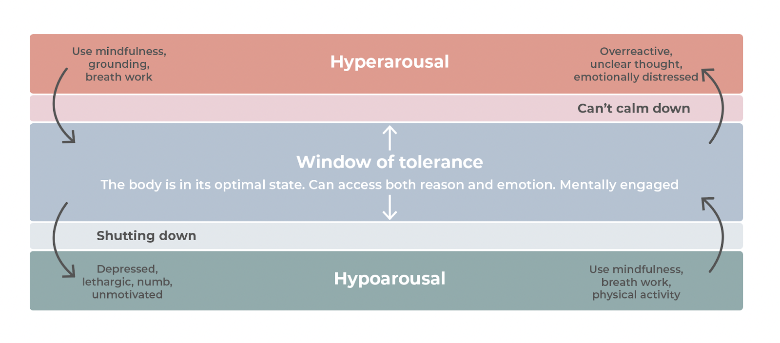 Archief Libraries - NiceDay: online coaching & therapie